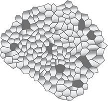 Clinical Contact Lens Management Guide
