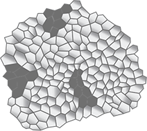 Clinical Contact Lens Management Guide